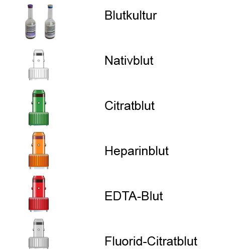 Labor MVZ WestmecklenburgBlutentnahme & Patientenvorbereitung